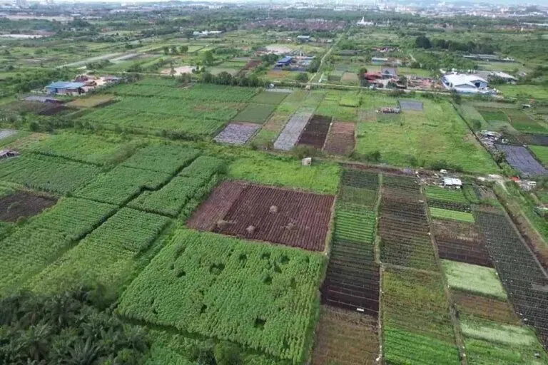 Johan Setia land for sale - Factprop