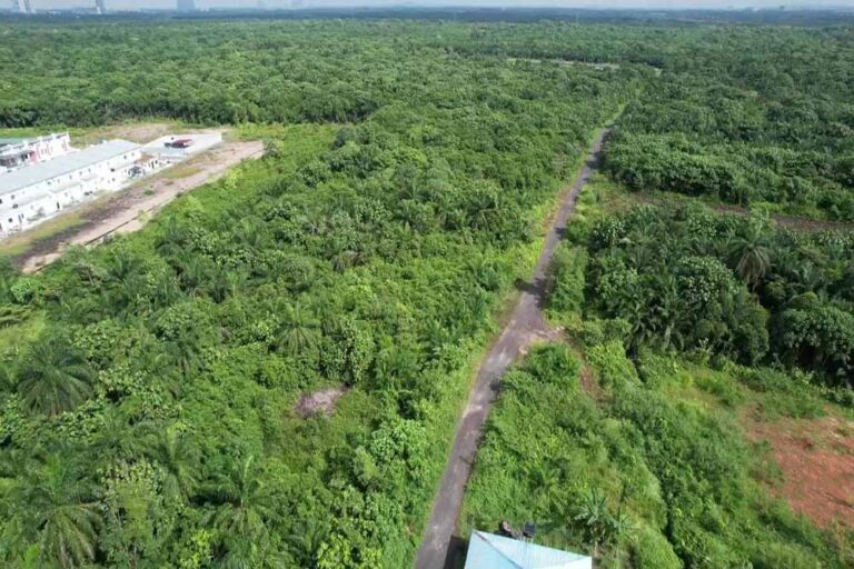 Johan Setia land for sale - Factprop