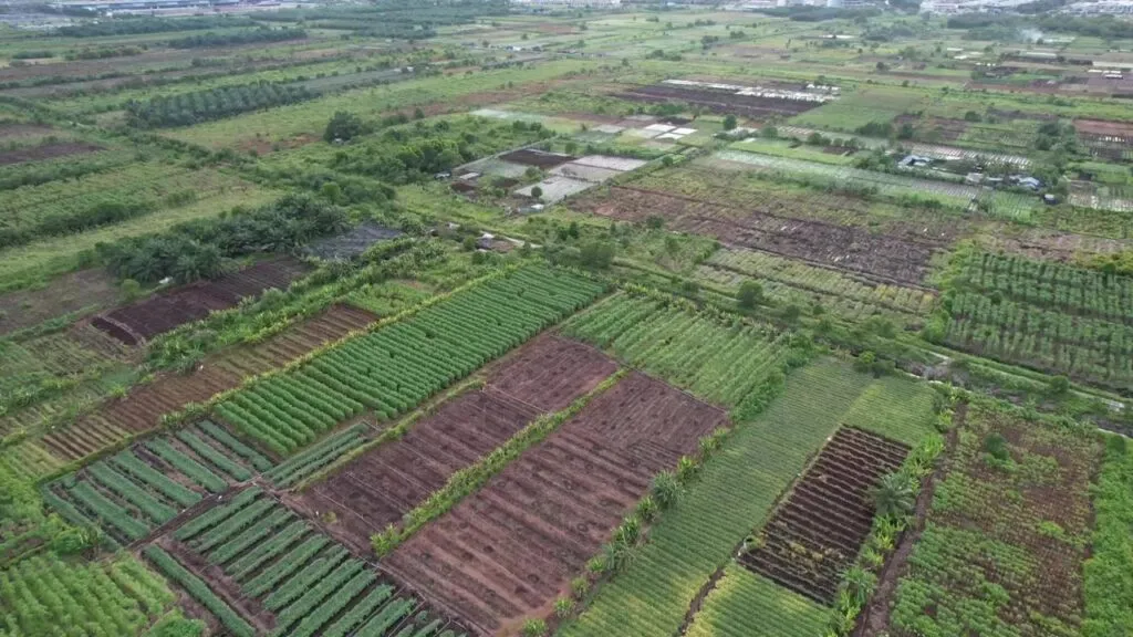 1acre Johan setia land - Factprop